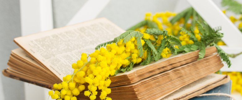 Festa della donna: 10 libri che parlano di noi! - Gli Amanti dei Libri